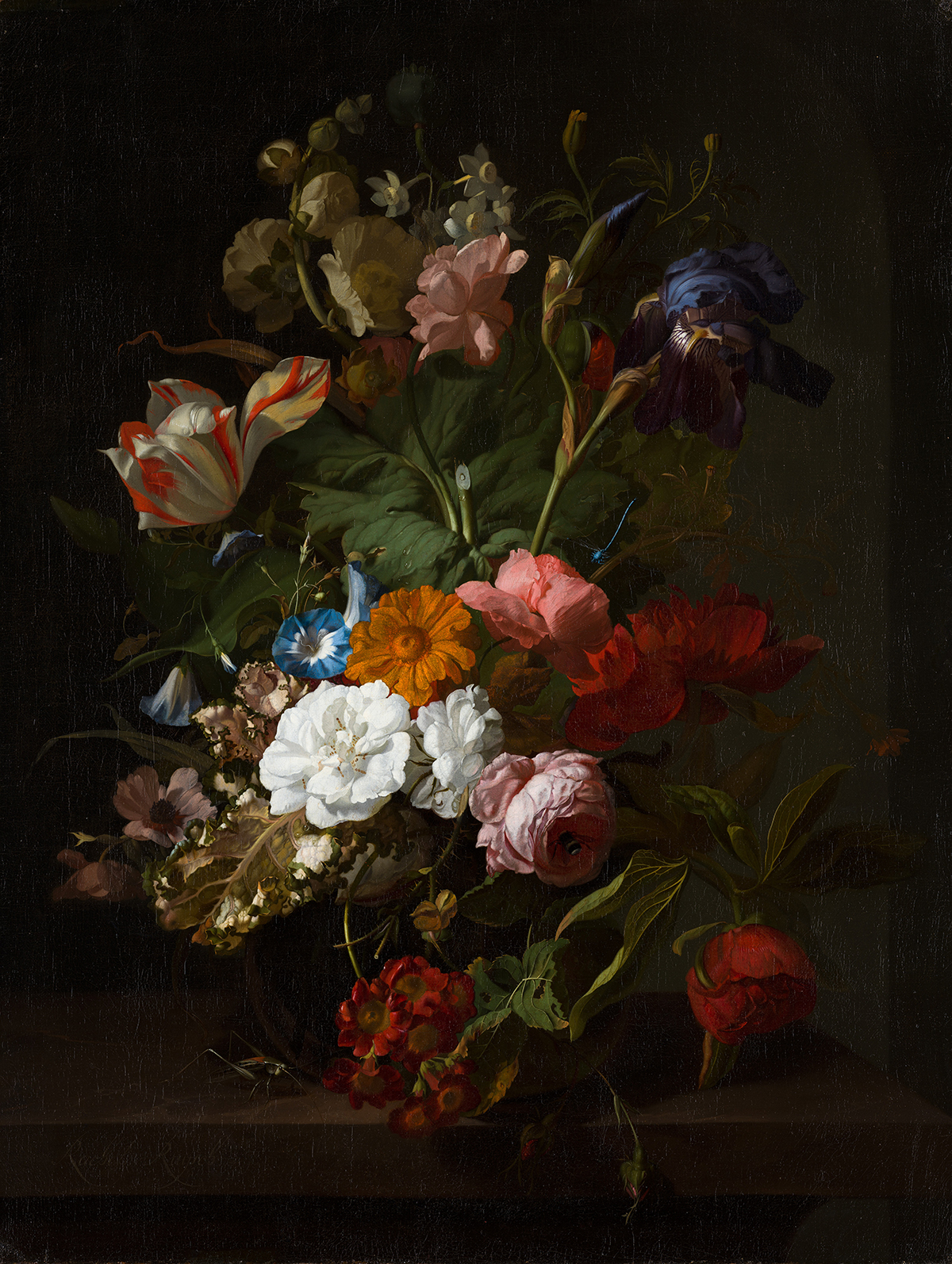 Rachel Ruysch (1664-1750) | Mauritshuis