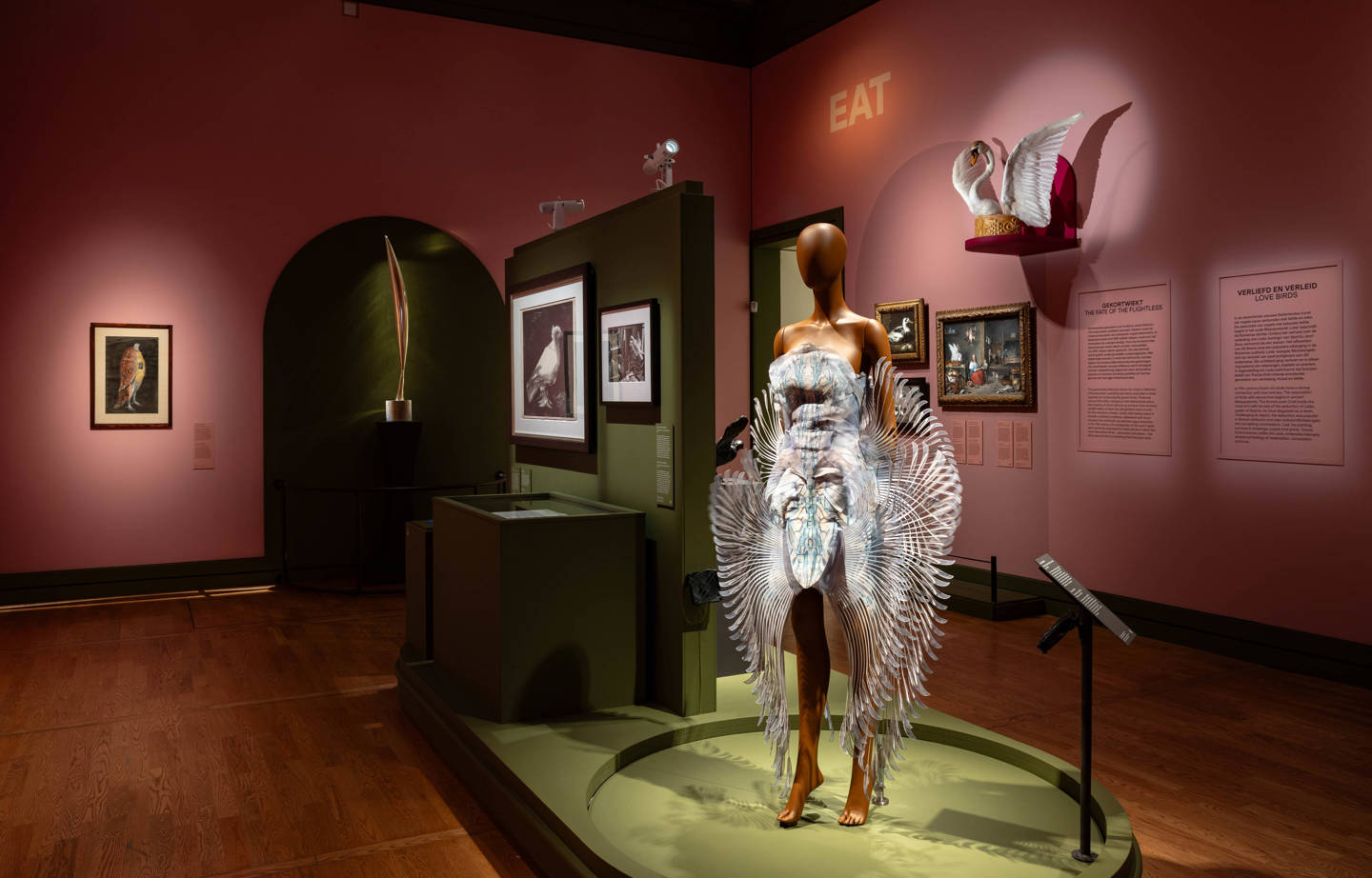 Exhibition BIRDS – Curated by The Goldfinch & Simon Schama | Mauritshuis