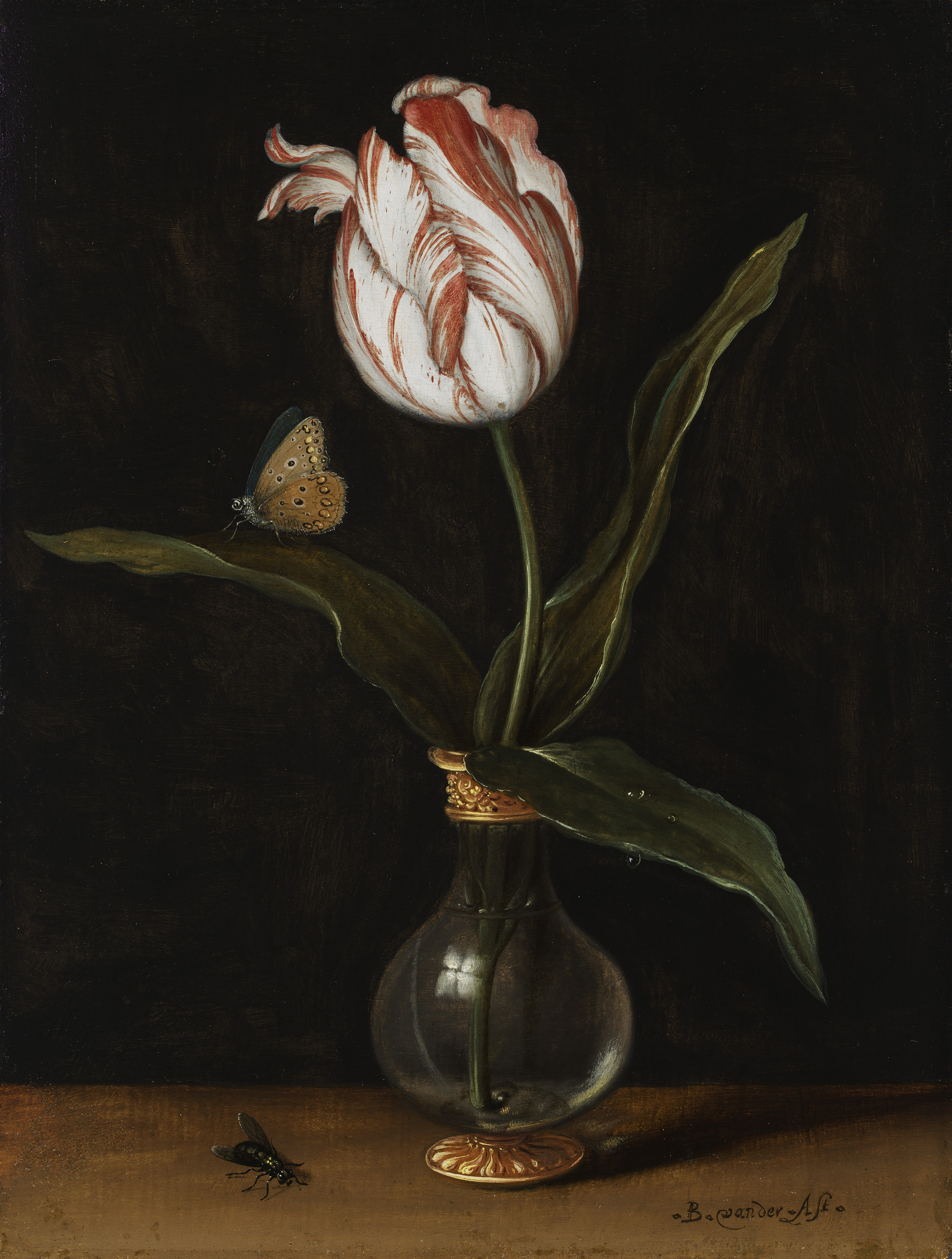 Vaasje met een enkele tulp | Nieuwe aanwinst | Mauritshuis