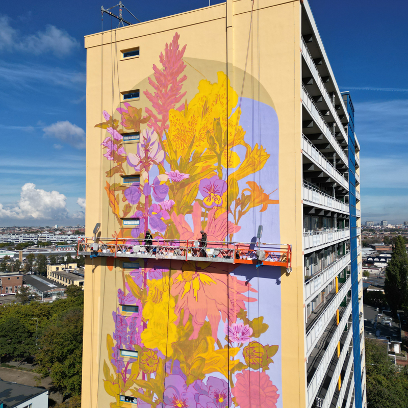 Museum Murals | Mauritshuis